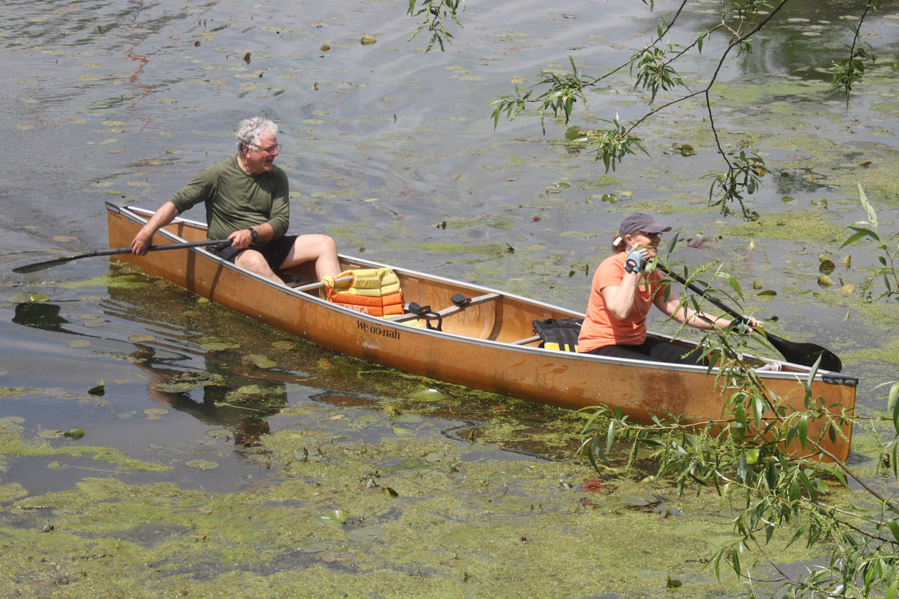 49th Annual Canoe Race, Another Success! | The Manchester Mirror