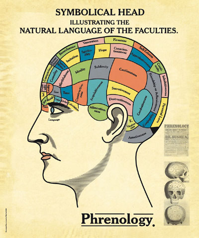 Phrenology Diagram | The Manchester Mirror
