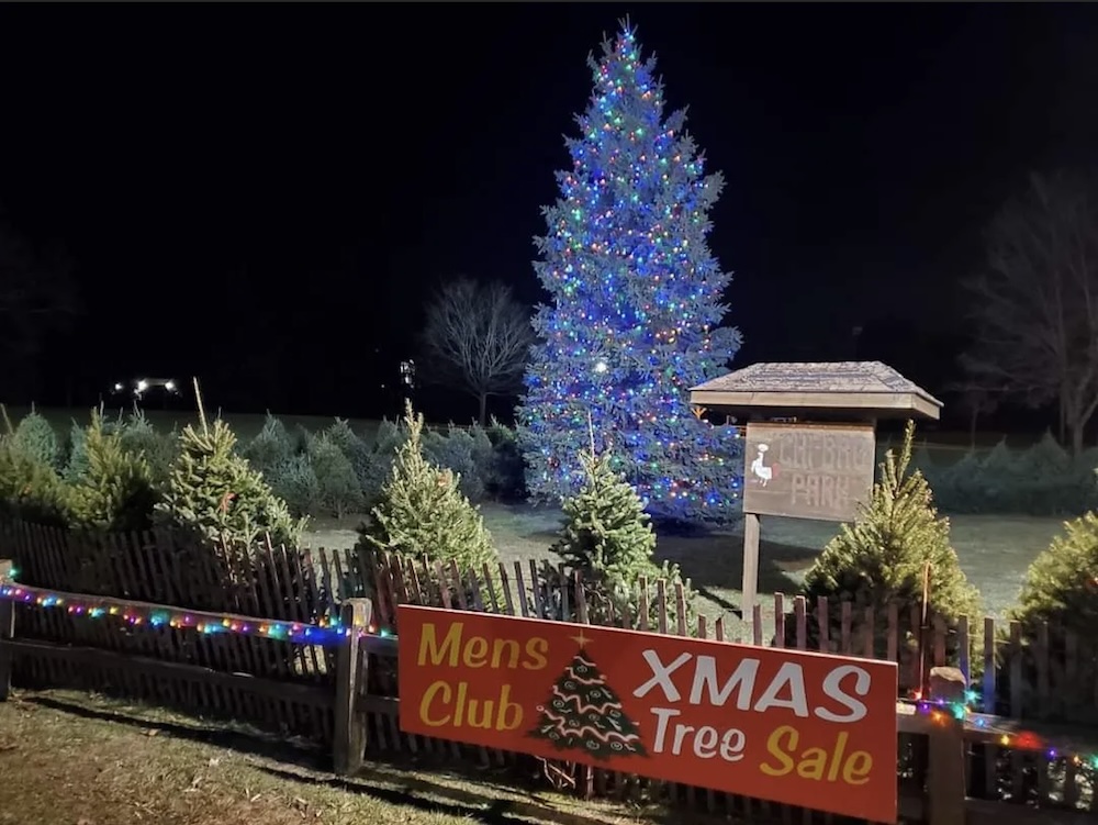 Men’s Club Christmas Tree & Wreath Sale | The Manchester Mirror