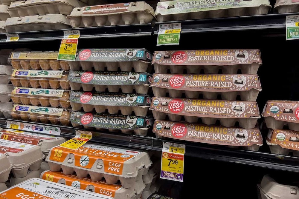 Michigan eggs must be cage-free by 2025 as new sales law takes effect ...