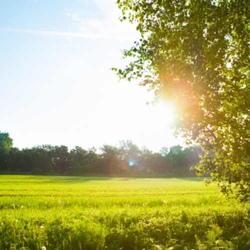 Sunrise Nature Hike at Sharon Mills | The Manchester Mirror